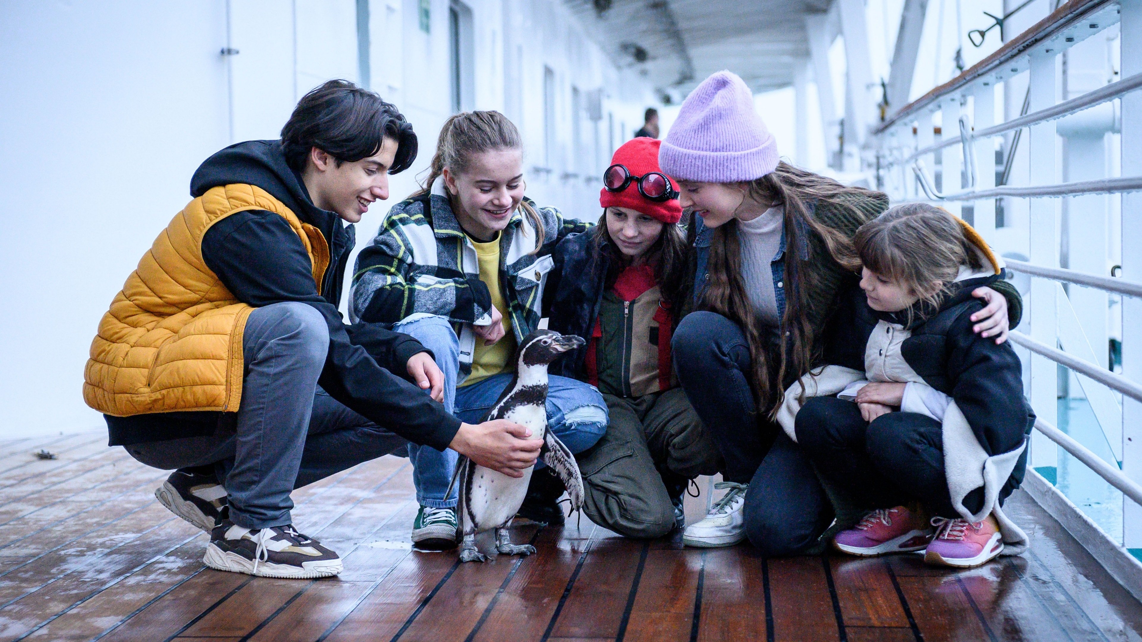 Paul – Un pinguino da salvare Film | longtake - Every Frame Counts